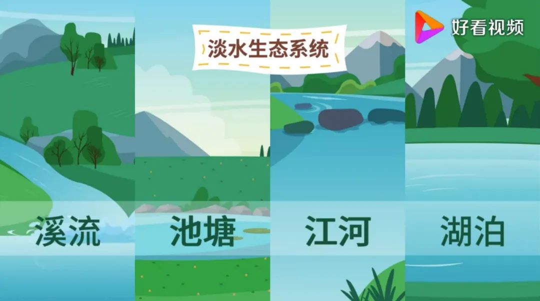什么是水域生态系统? 广东省国土空间生态修复协会